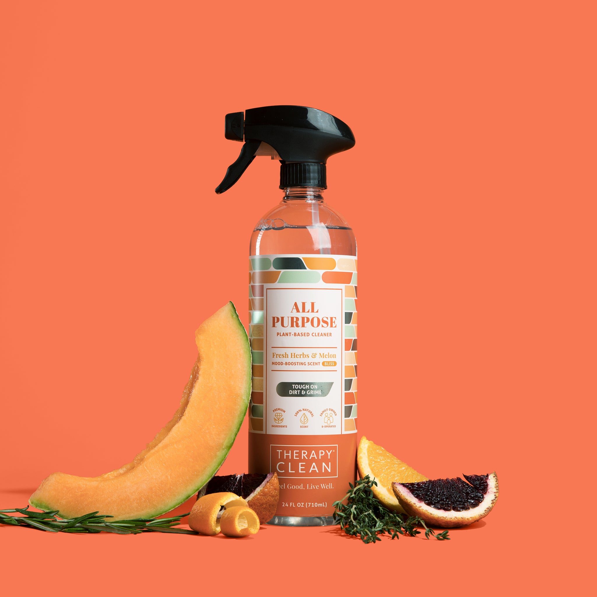 ALL-PURPOSE CLEANER – Therapy Clean