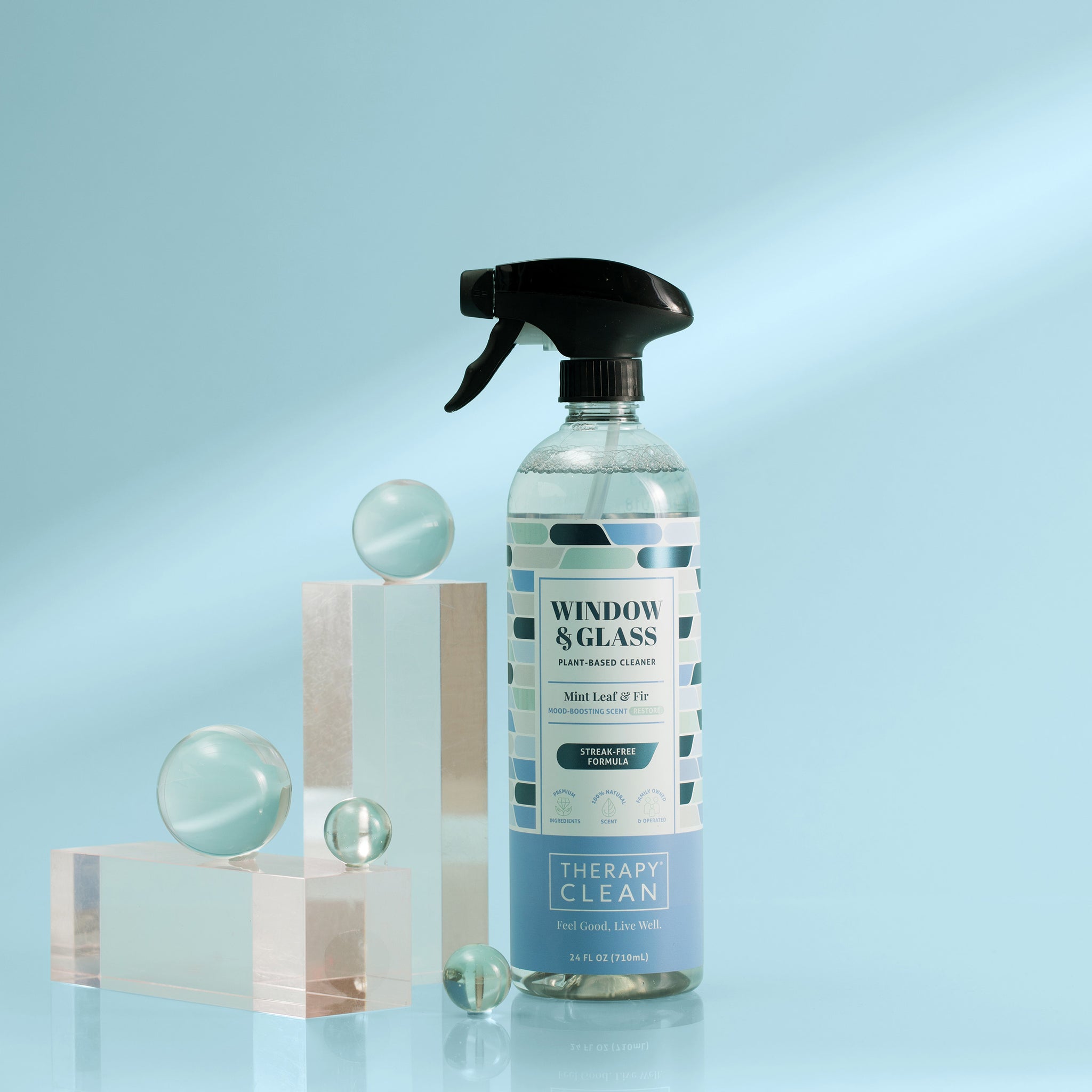 WINDOW & GLASS – Therapy Clean